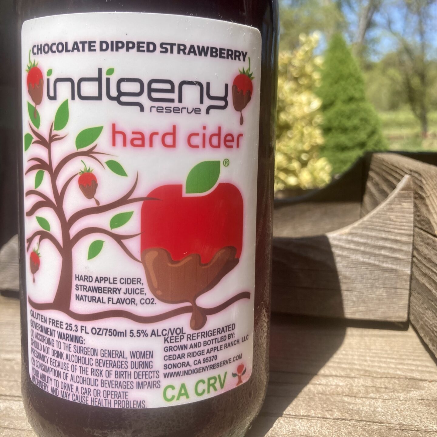 Hard Cider | Northern and Central California, Bay Area | Indigeny Reserve