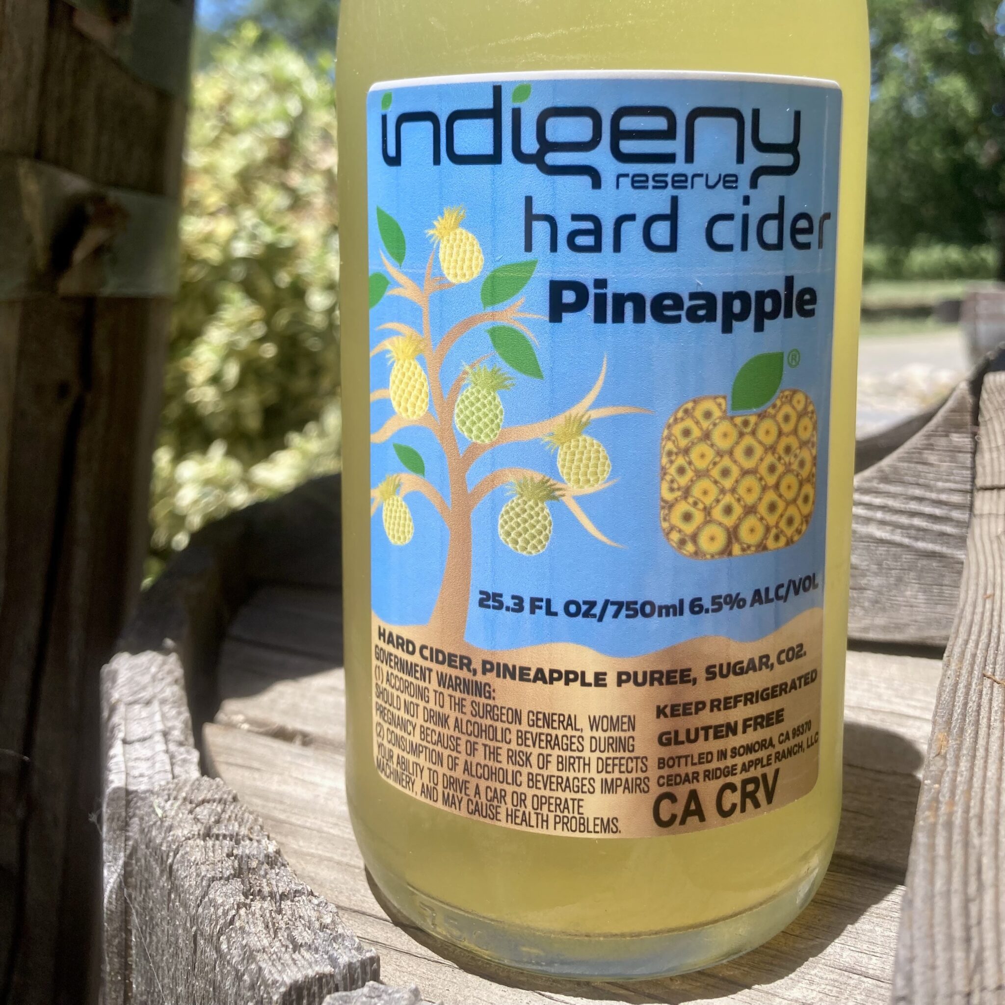 Hard Cider | Northern and Central California, Bay Area | Indigeny Reserve