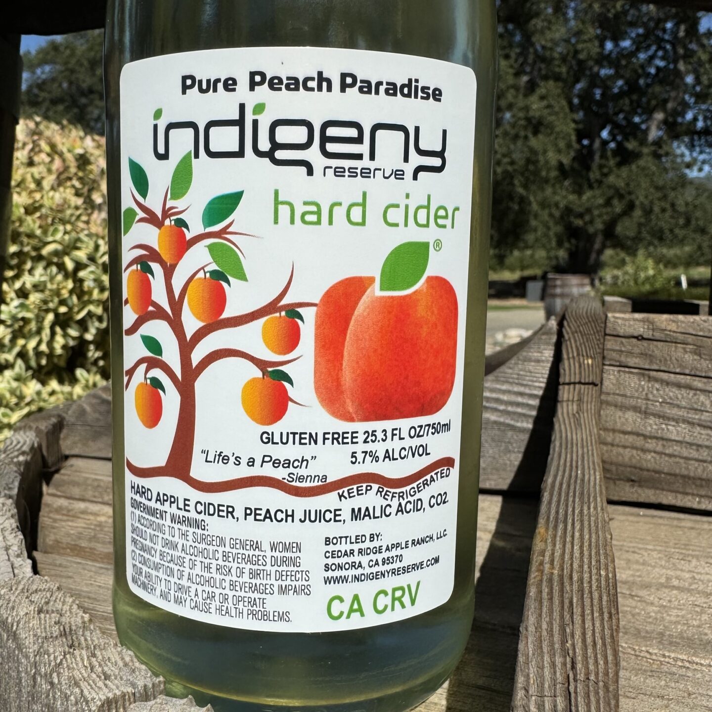 Hard Cider | Northern and Central California, Bay Area | Indigeny Reserve