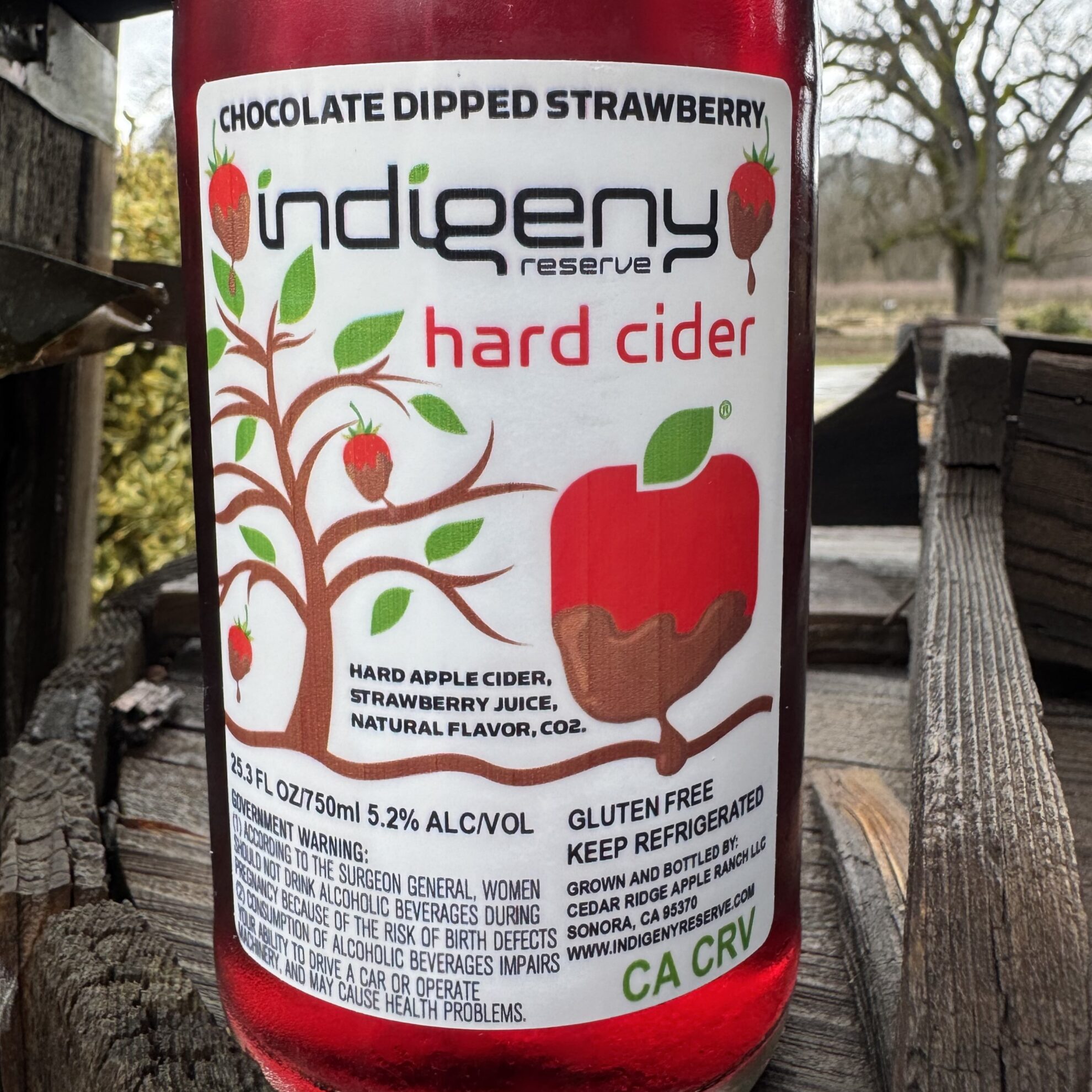 Hard Cider | Northern and Central California, Bay Area | Indigeny Reserve